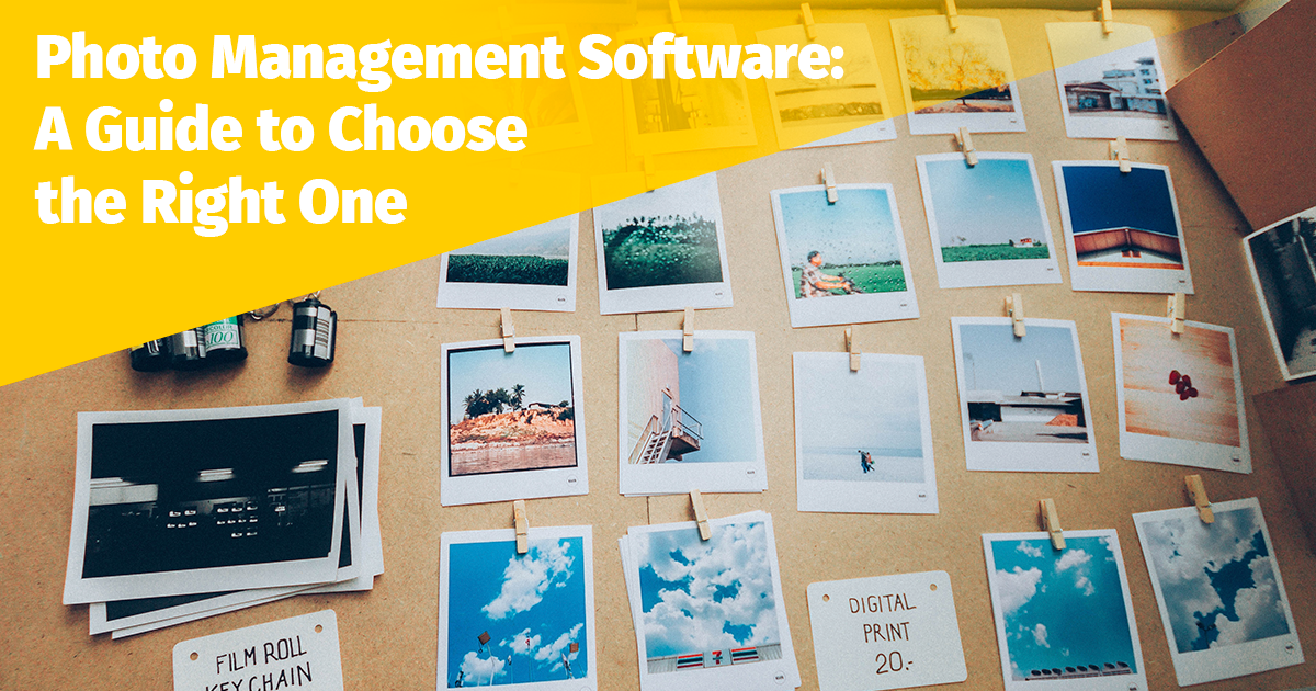 Top 5 Best Photo Management Software